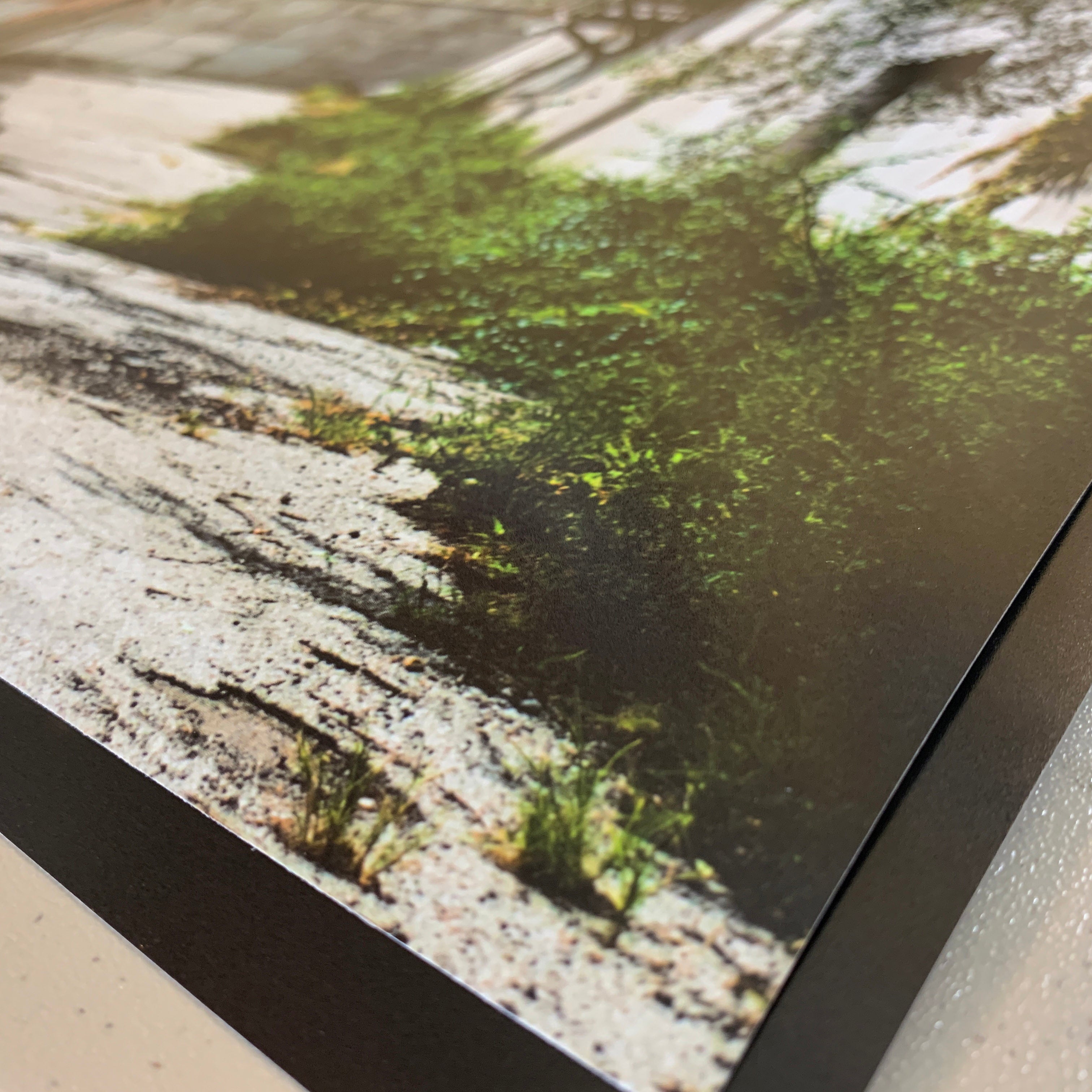 Photo Printing – Prints & Repeat